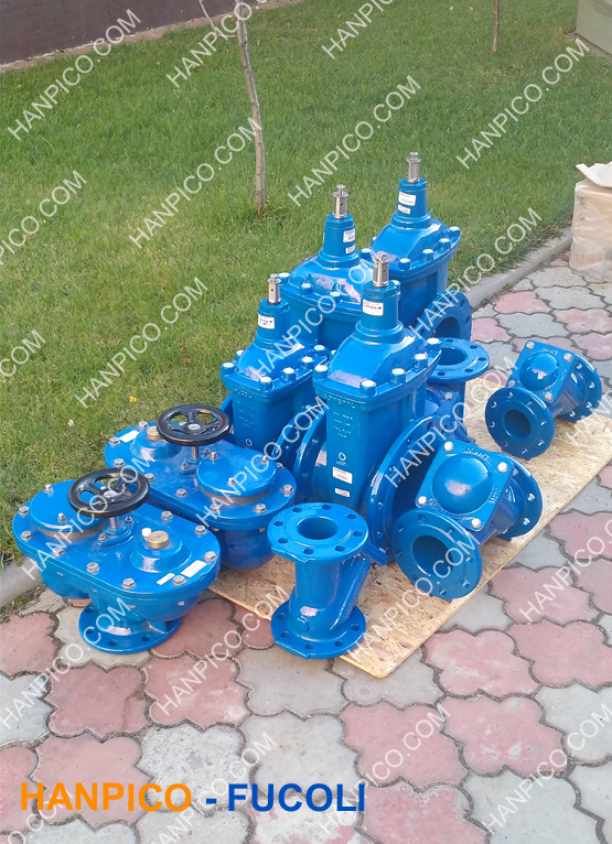 Van 1 chiều bướm có búa đối trọng FUCOLI SOMEPAL